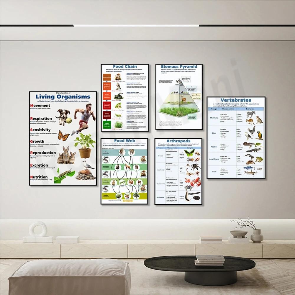 Scientific Biology Poster Food Chain Biomass Pyramid Ecosystem Animal ...
