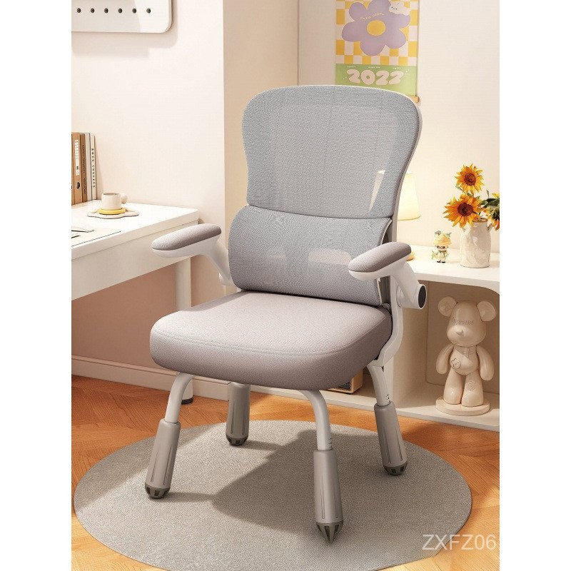Study Computer Chair Desk Chair Adjustable Backrest Seat for Homework ...
