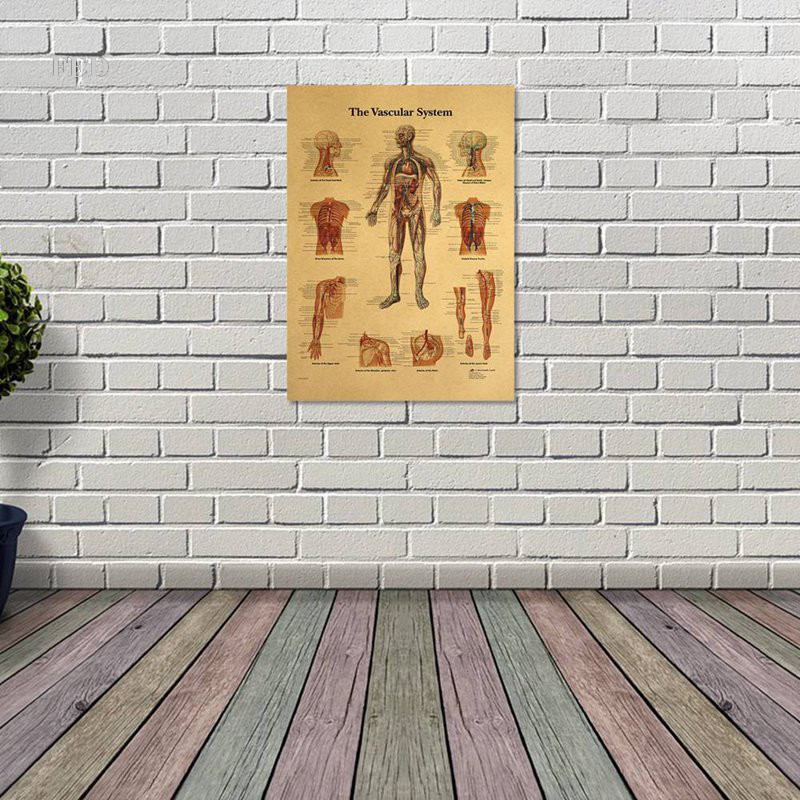 Human Body Interpretation Diagram-Vascular System Kraft Paper Retro ...