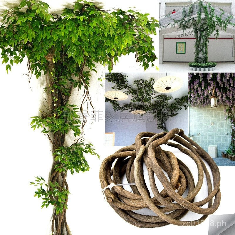 Deadwood Twining Branches Vine Rattan Plant Ceiling Tree Vine Weaving ...