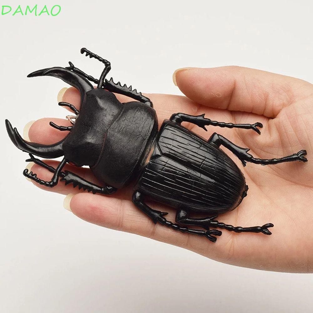 DAMAO Simulation Beetle Non-Toxic Teaching Aids Insect Toy Fake Beetle ...