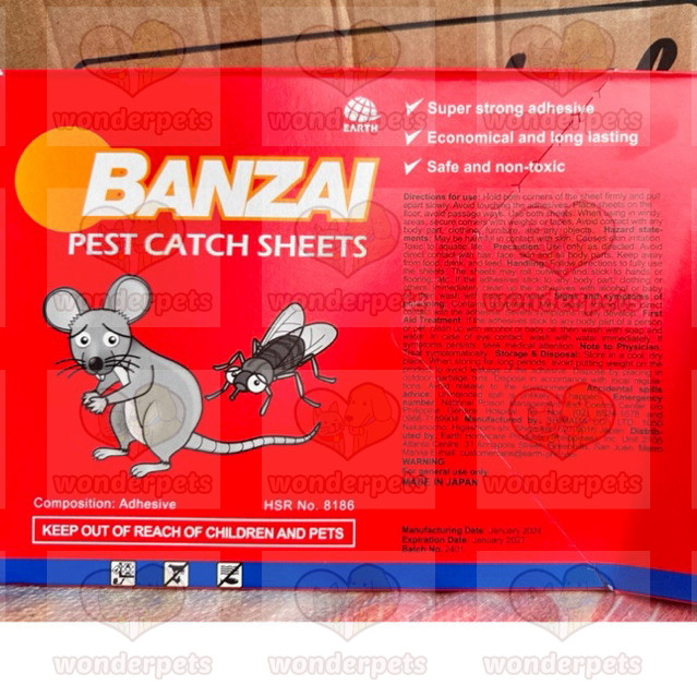 BANZAI Flies Rats Adhesive Catch Sheets | Shopee Philippines
