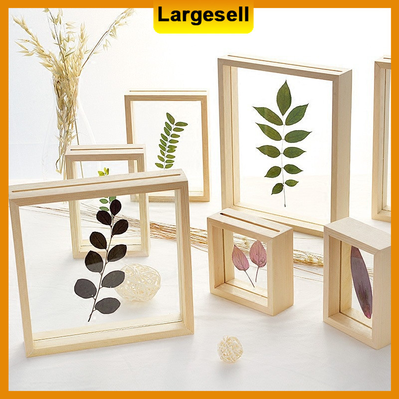 4/5/6 inch Wooden Plant Specimen Frame MINI Square Wooden Plant ...