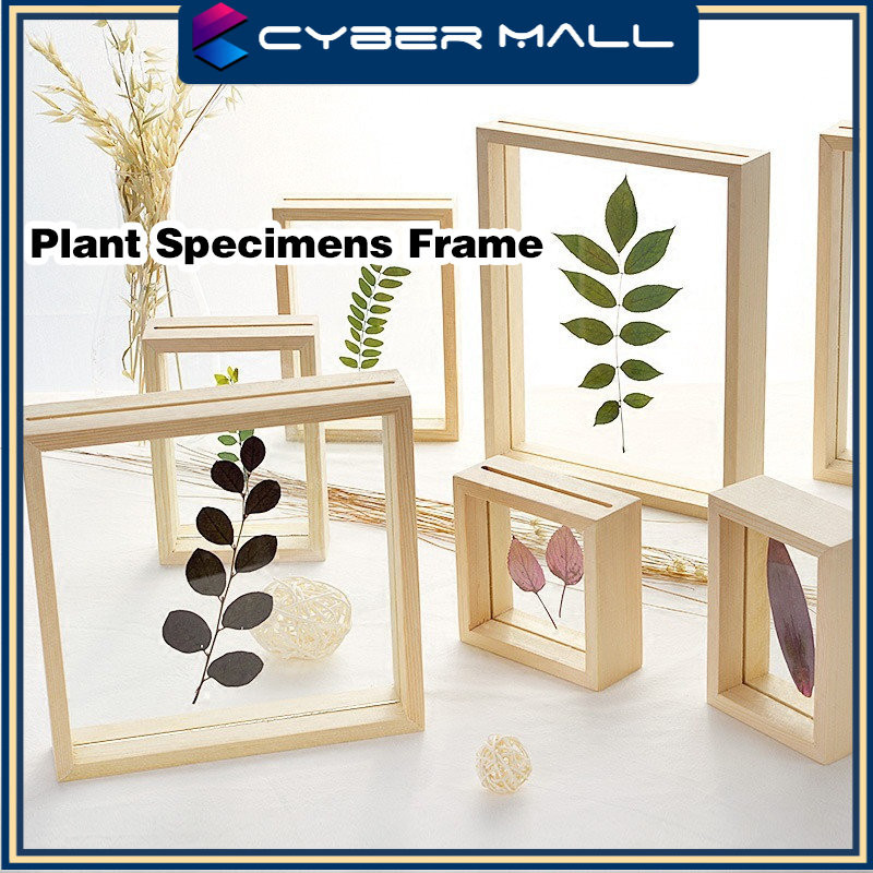 【Cyber】 Plant Specimen Frame Wooden Specimen Frame | Shopee Philippines