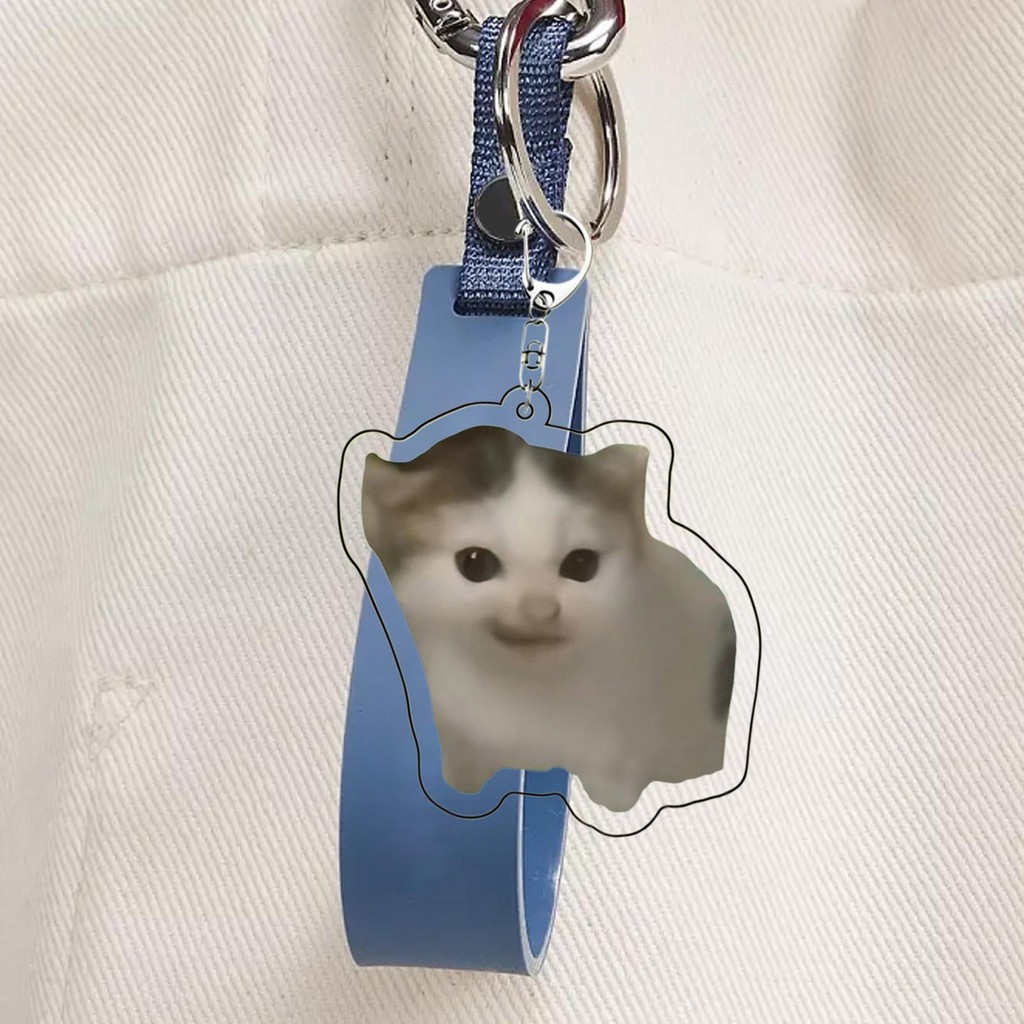 Funny Brainrot Spinning Cat Keychain Meme Cat Acrylic Collectible Bag ...