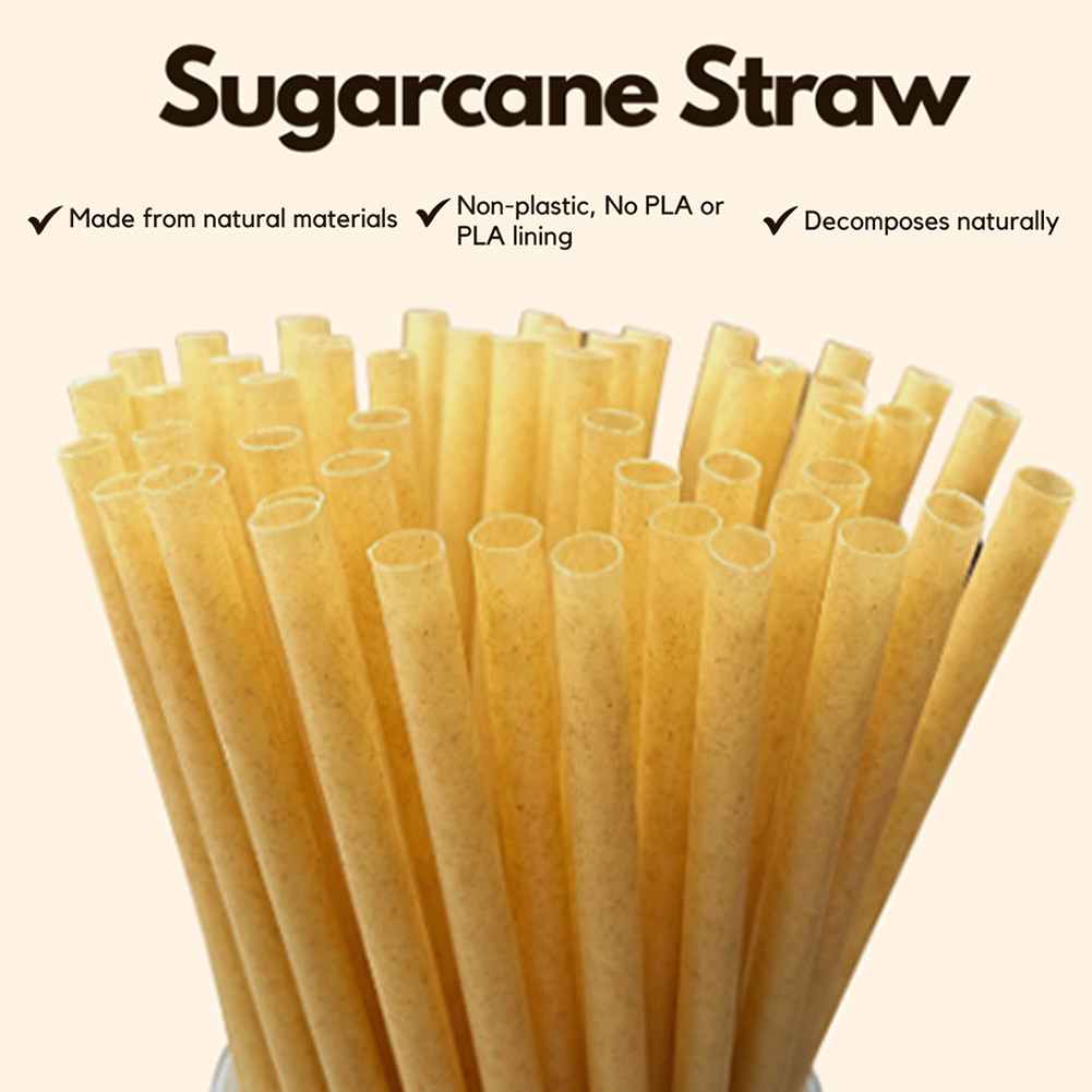 100PCS Sugarcane Straw Smoothie Straw Frappe Straw Compostable ...
