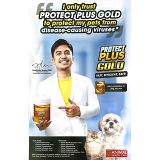 20g Protect Plus Gold Disinfectant Powder for piggery farm house ...