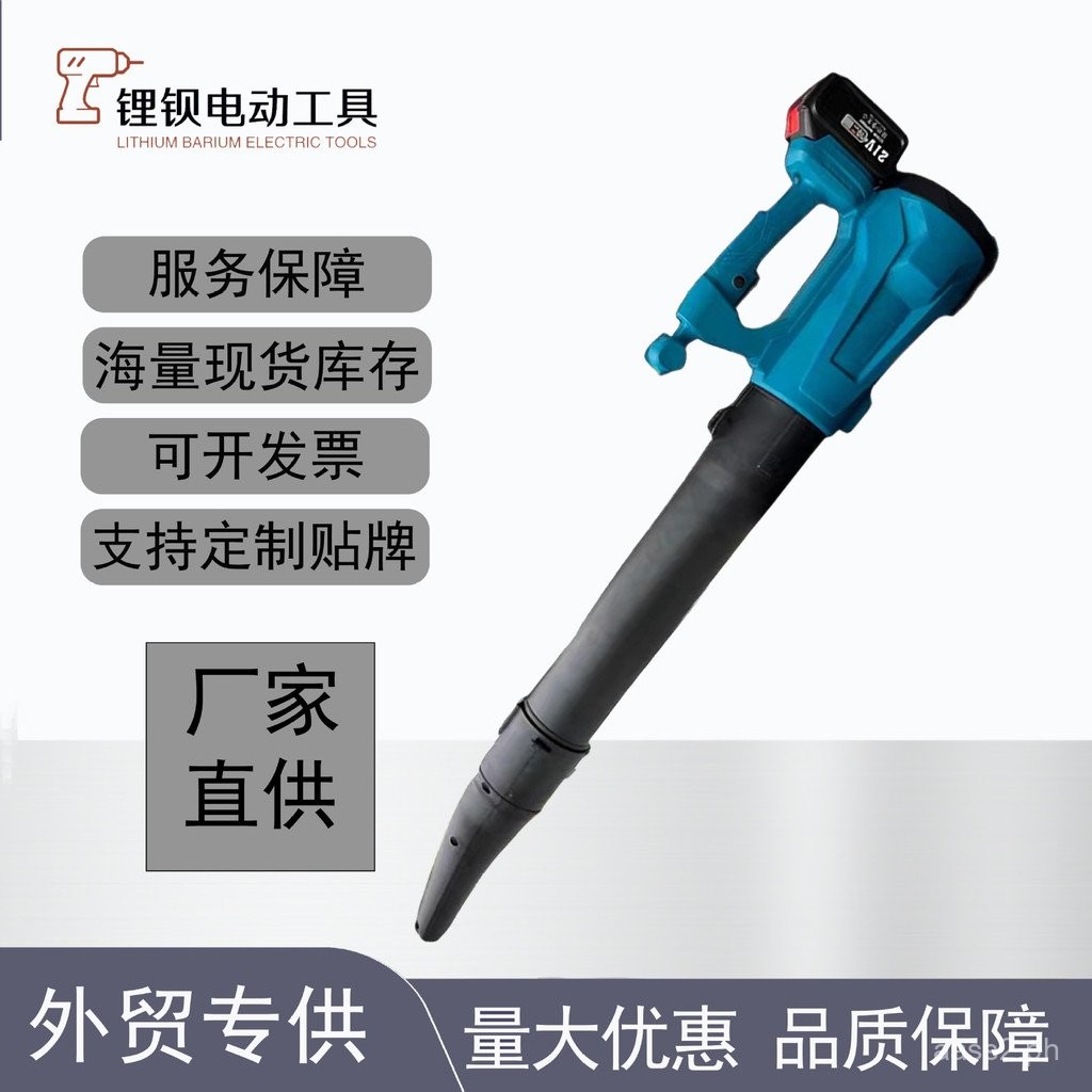 Hair Dryer Wireless Lithium Battery Industrial Dust Removal Storm ...