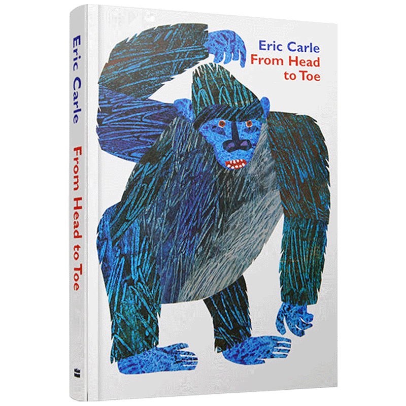From head to toe English original from head to toe English picture book ...