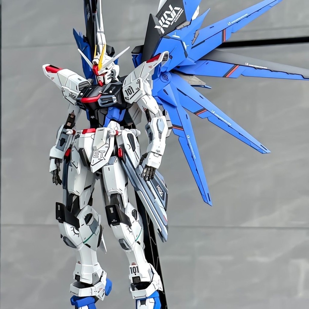 Gundam Model MG 1/100 Freedom sakura Newborn Freedom Up to 2.0 ...