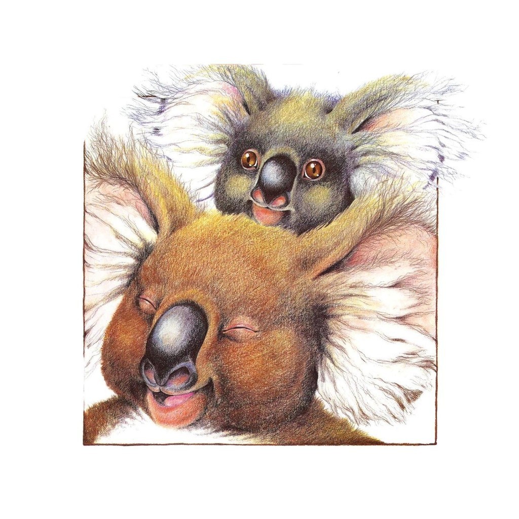 Mem Fox May Fox International Best Selling Picture Book Writer Koala ...