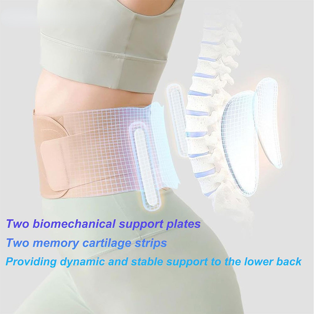 Back Brace with Skin-Friendly Material, Adjustable Waist Support ...