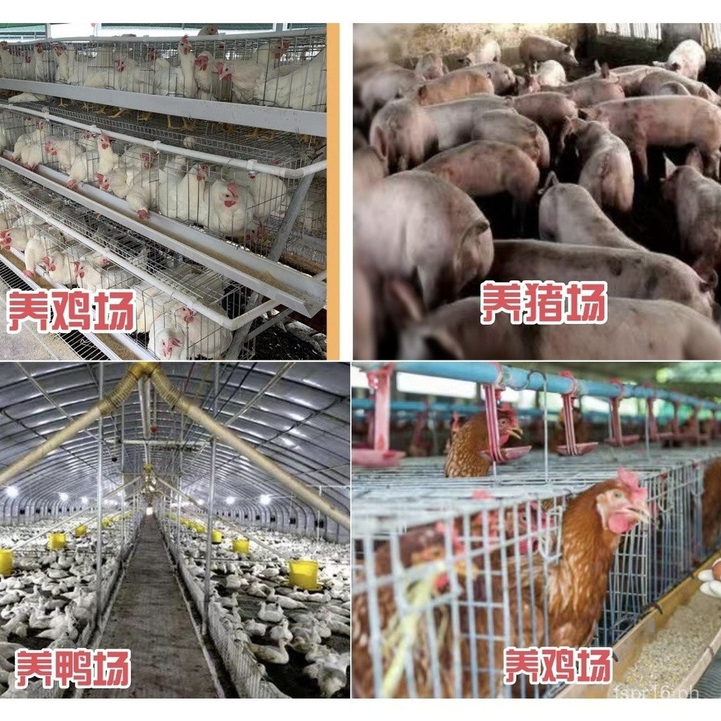 Impeller Drainage Pump Pond Sludge Pump Toilet Farm Special Fecal Pump ...