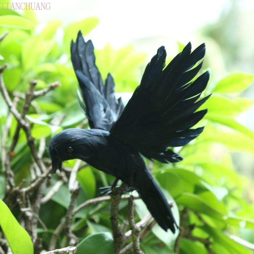 TIANCHUANG Fake Crow Fake Black Bird Deter Miniatures Hunting Decoy DIY ...