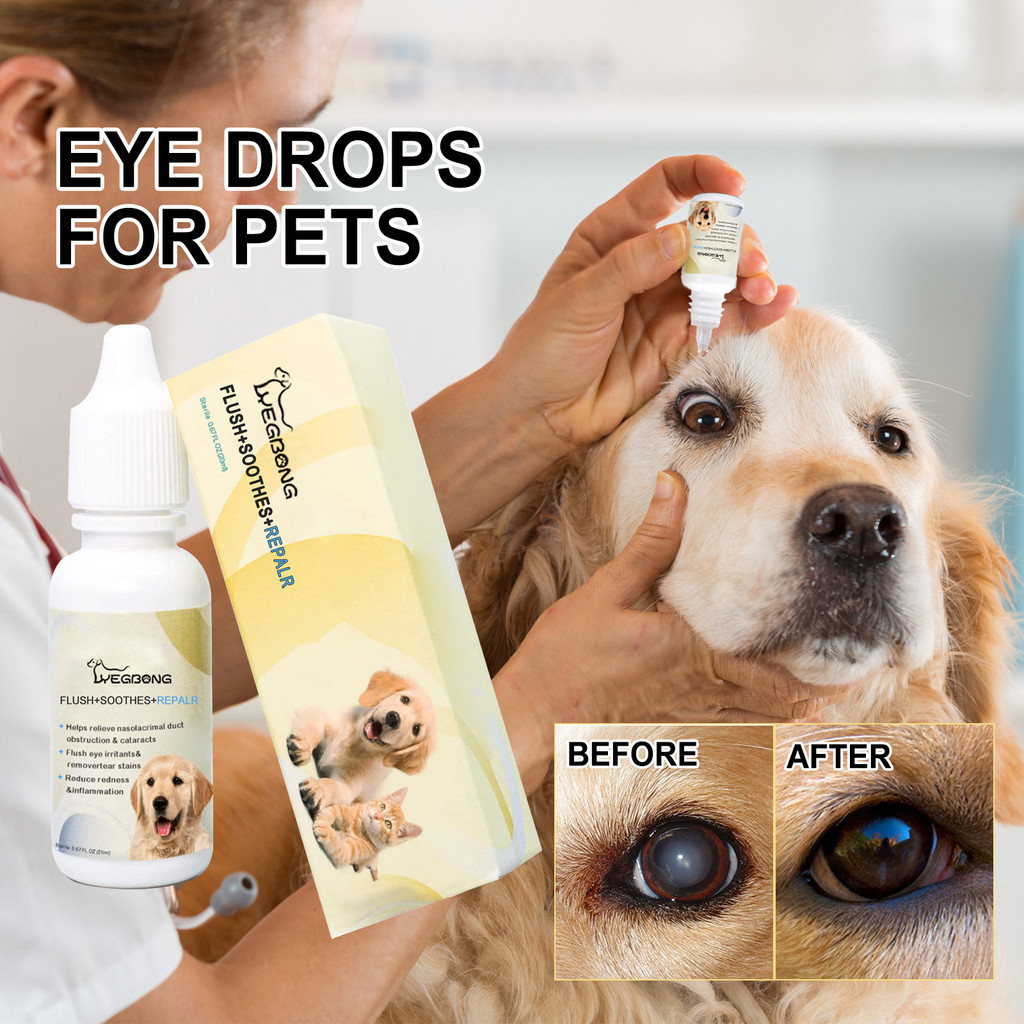 Yegbong Pet eye drops for dogs and cats, gentle eye dirt cleaning, tear ... Yegbong Pet eye drops for dogs and cats, gentle eye dirt cleaning, tear ...