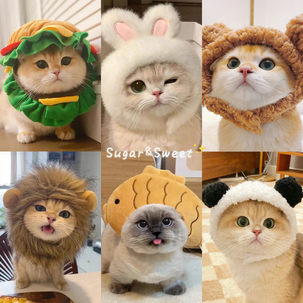 Dog Hat for Shih Tzu Plush Panda Bear Cat Hat Cosplay Funny Pig Print ...