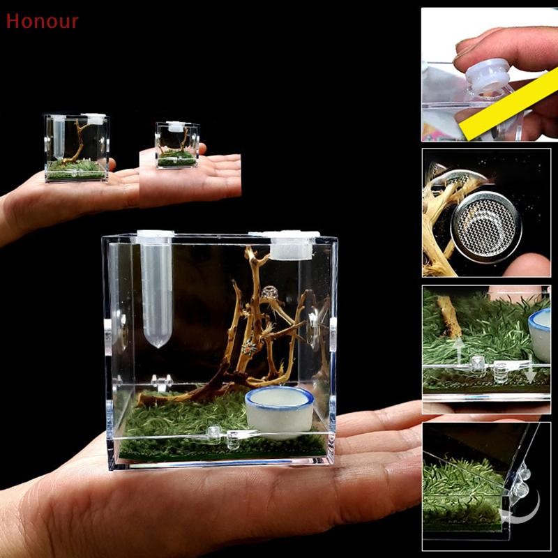 [Honour] Reptile Breeding Box Acrylic Spider Lizard Scorpion Enti's ...