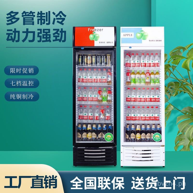 Commercial Beverage Cooler Vertical Display Cabinet Beer Preservation ...