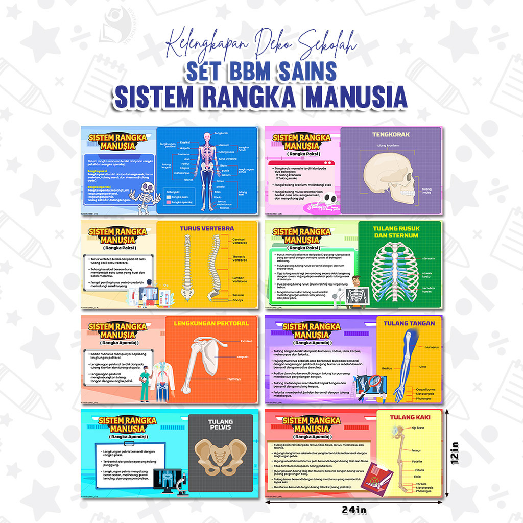 DESIGN SET BBM SAINS - SISTEM RANGKA MANUSIA / BBM SAINS / MAKMAL SAINS ...