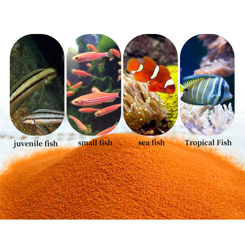 BABY BRINE SHRIMP (Decapsulated)fish food for small fish BBS Artemia ...