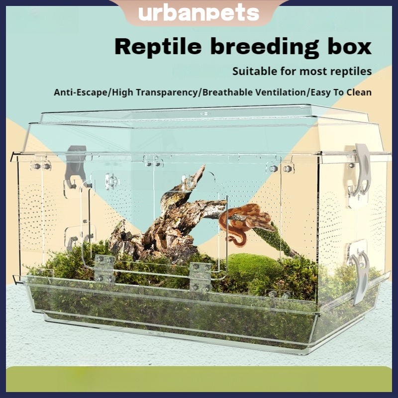 Acrylic Reptile Box Reptile Ecological Tank Turtle Scorpion Gecko ...
