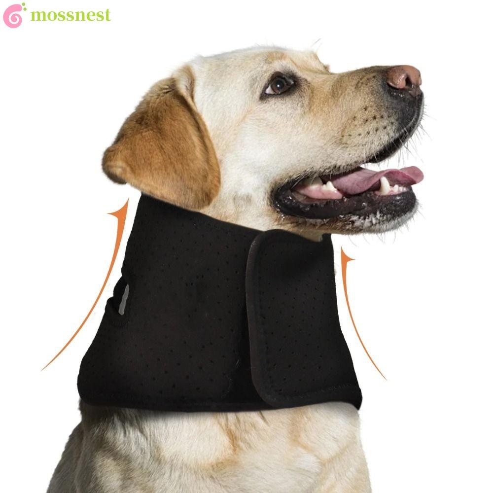 MOSSNEST Pet Neck Brace, Anti-licking Breathable Dog Support Collar ...