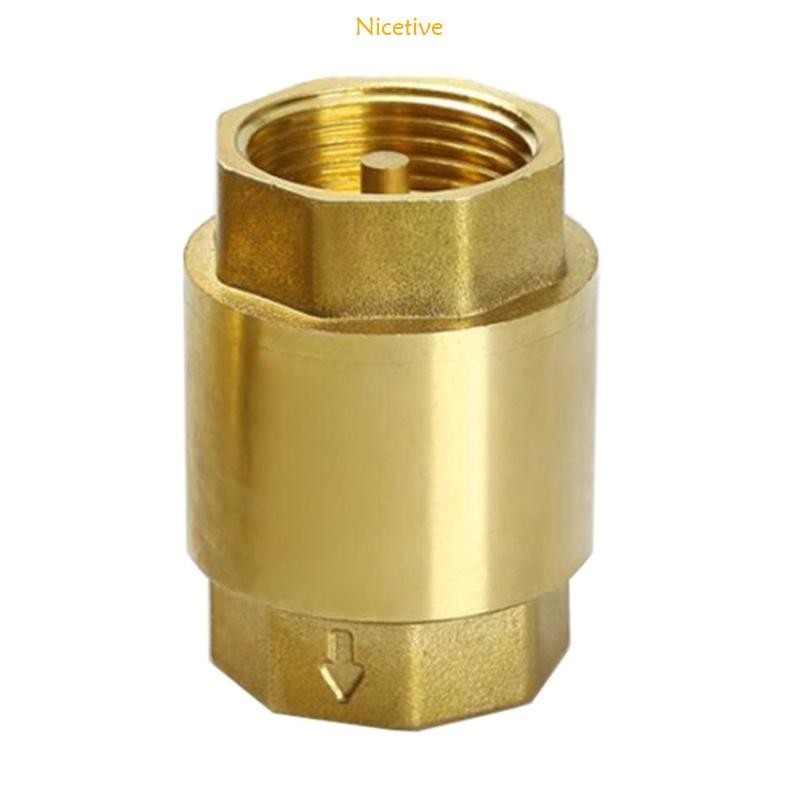 NICE Dependable Brass Spring Check Valves Heavy Duty Valves Simple ...