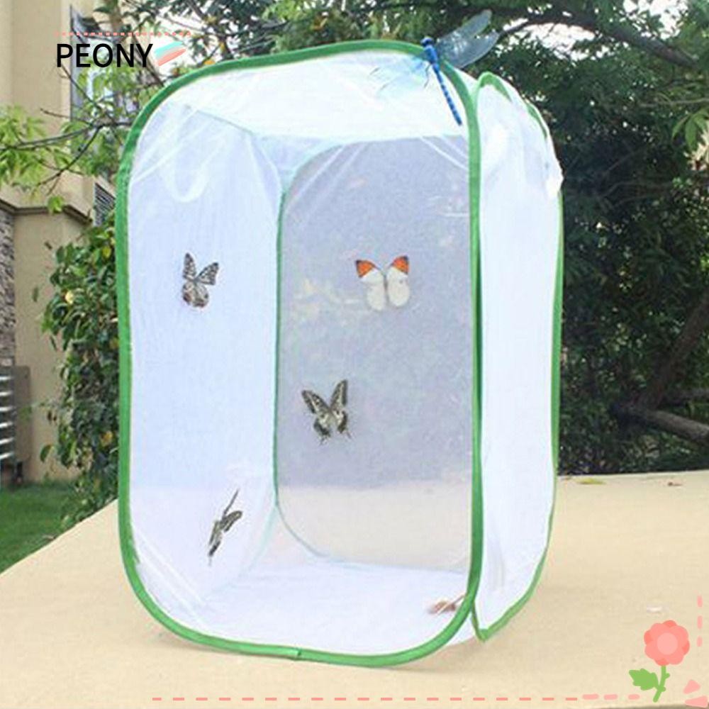 PEONY Butterfly Habitat, Pop-up Collapsible Insect Cage, Outdoor Mesh ...