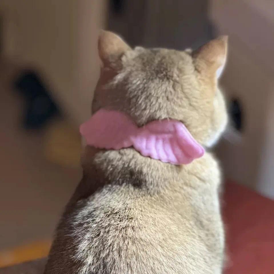Angel Wings Pet Collar Invincible Cute Cat Collar | Shopee Philippines