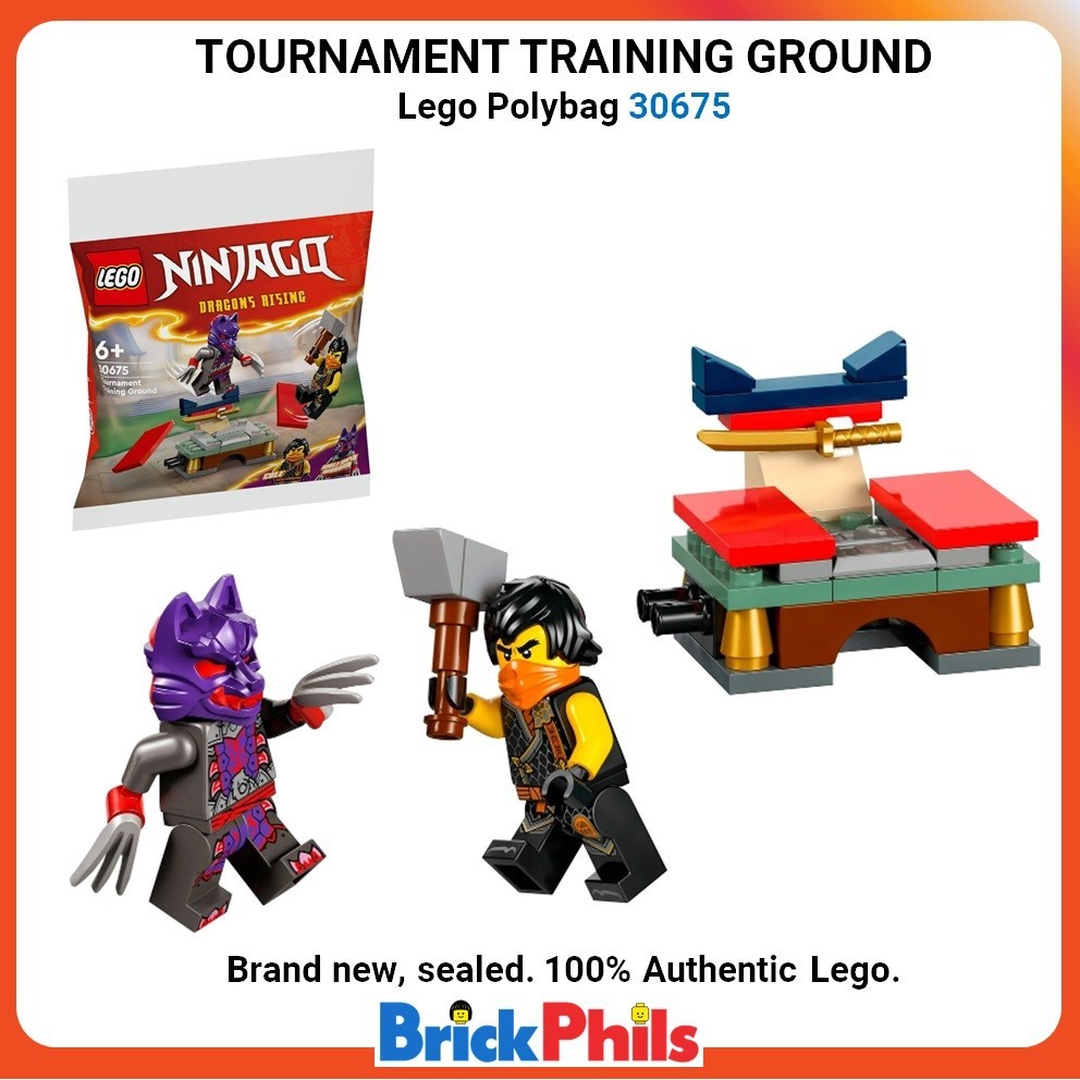Lego Polybag 30675 Tournament Training Ground | Shopee Philippines