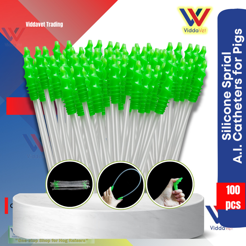 100 pcs Spiral ai catheter for pigs 100 pcs spiral pig farm pig tools ...