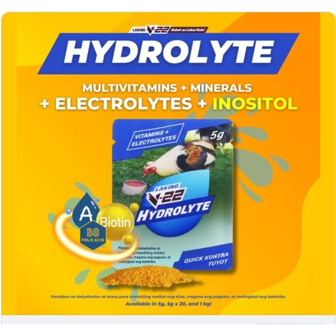 LAKING V22 HYDROLYTE 5G/SACHET | Shopee Philippines
