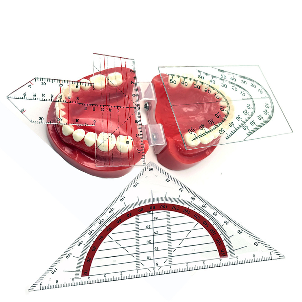 Dental Measuring Tools Dental Lab Guide Plate Tooth Arrangement On ...