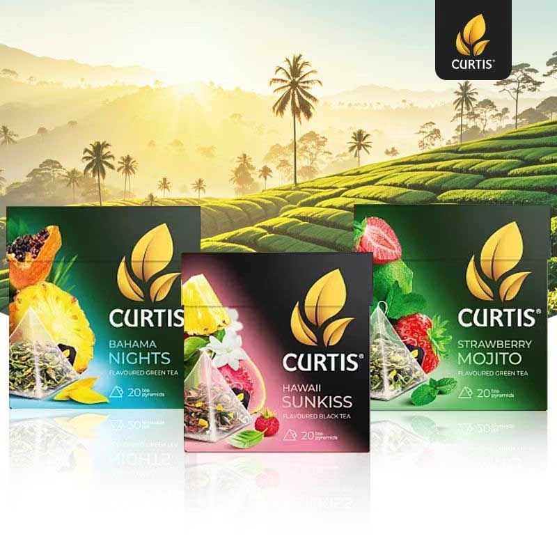 Russian Fruit Tea Original Imported Curtis Triangle Tea Bag Tea Mochito ...