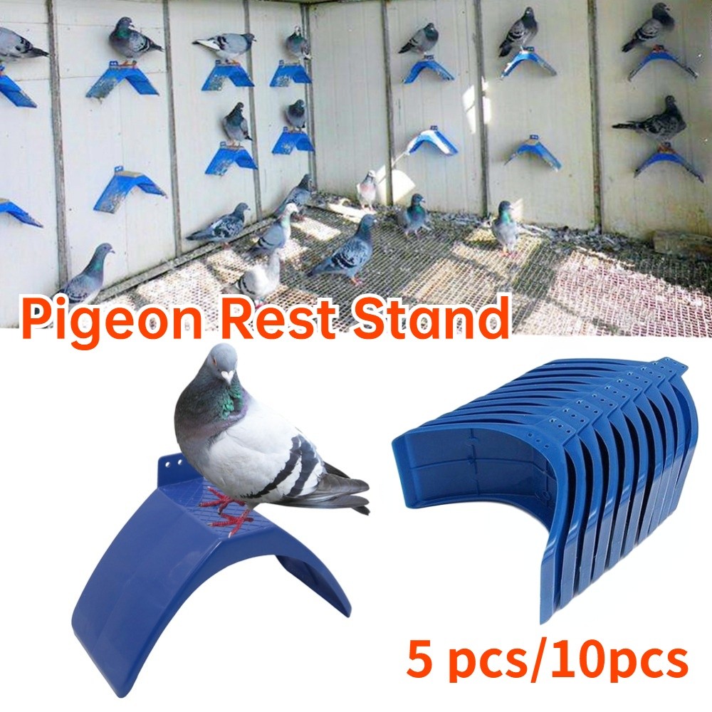 10Pcs/Set Pigeon Rest Stand Parrots Perches Frame Dove Dwelling Birds ...