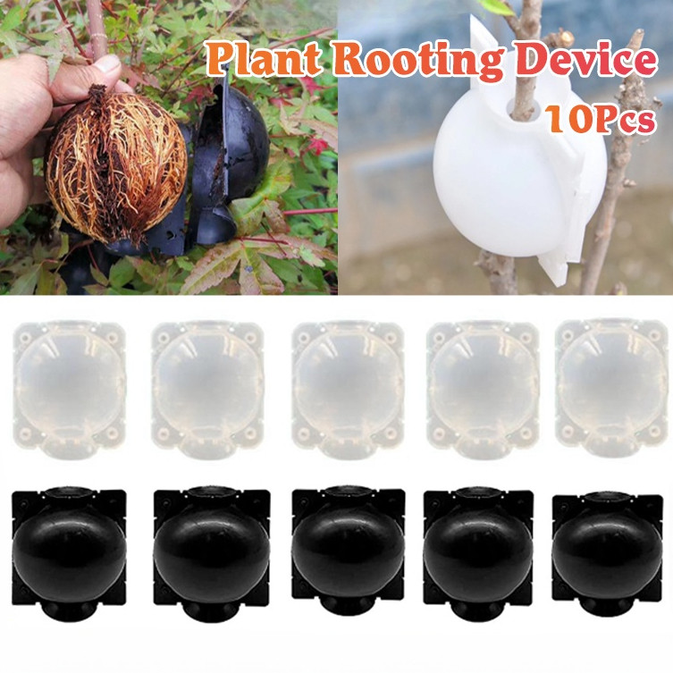 【COD】10Pcs Plant Rooting Device Plant Rooting Ball For High Pressure ...