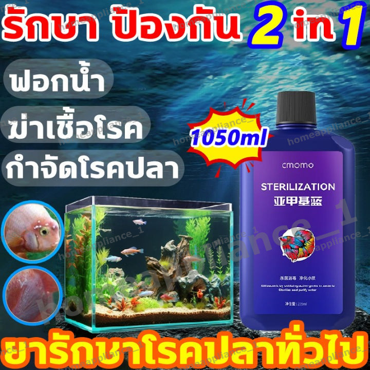 Methylene Blue Can Treat Dark Spots Loose Scales Rotten Fish Redness ...