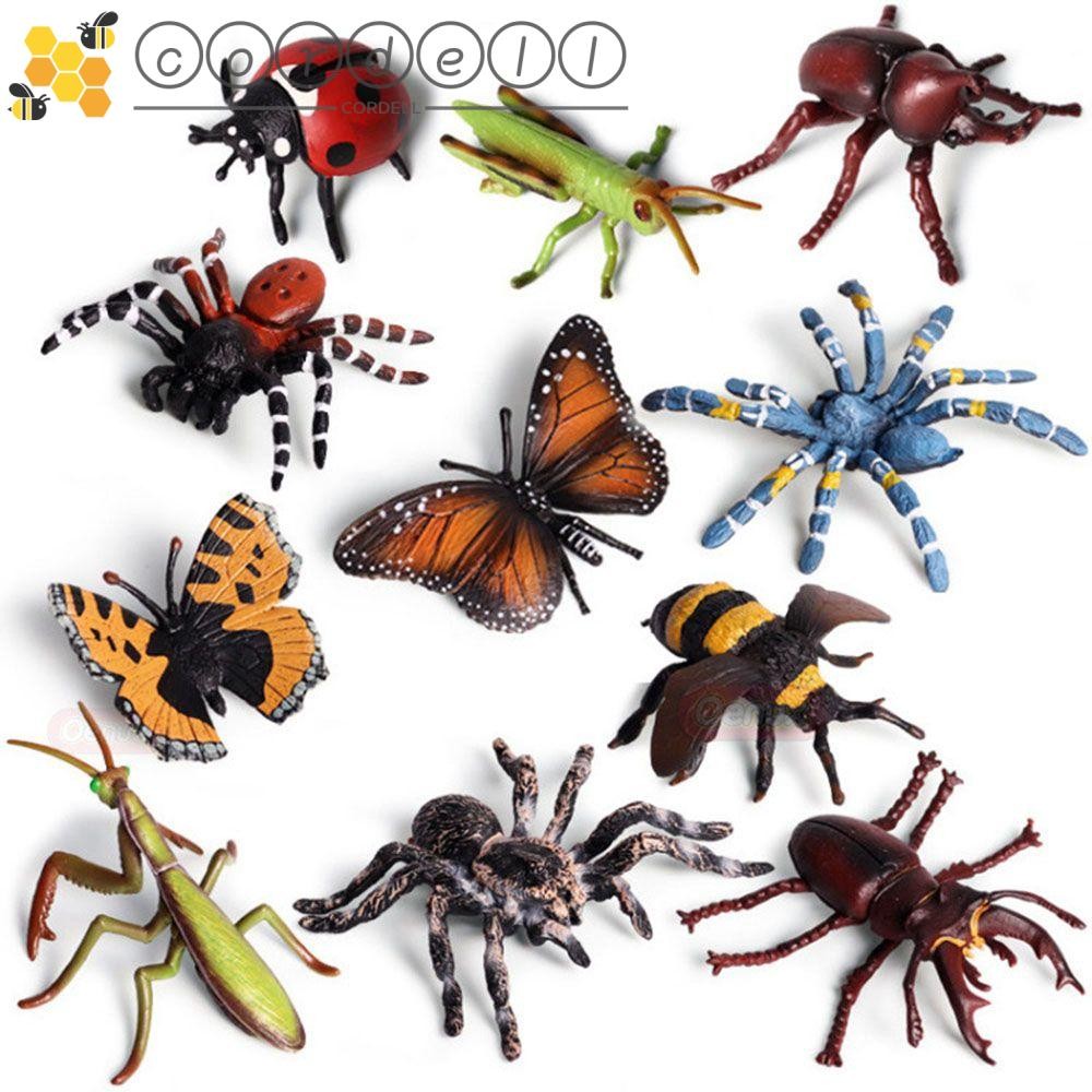 CORDELL Animal Model Learning Realistic Decorations Prank Props Insect ...