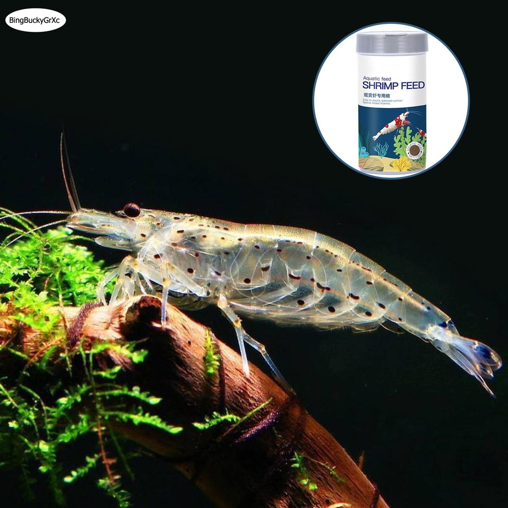 Shrimp Food Pellets for Freshwater Aquarium Shrimp Intestinal ...