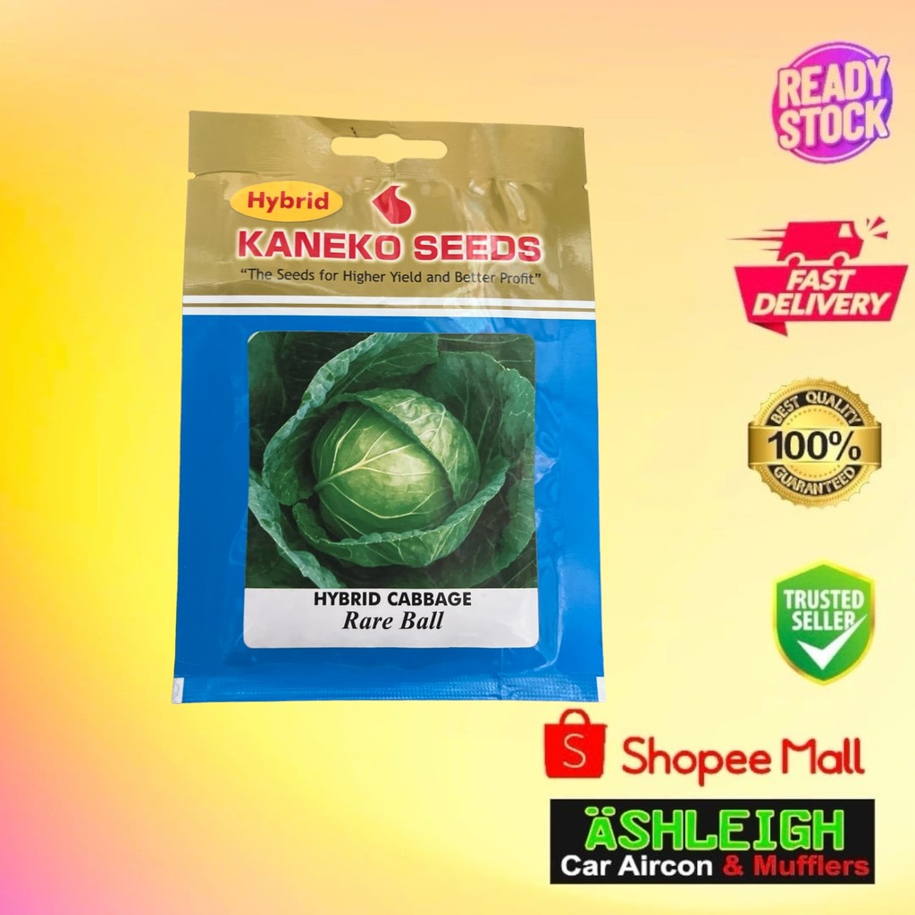 ASHLEIGH Hybrid Cabbage Rare Ball 2grams FOIL PACKET SEEDS Plants herbs ...