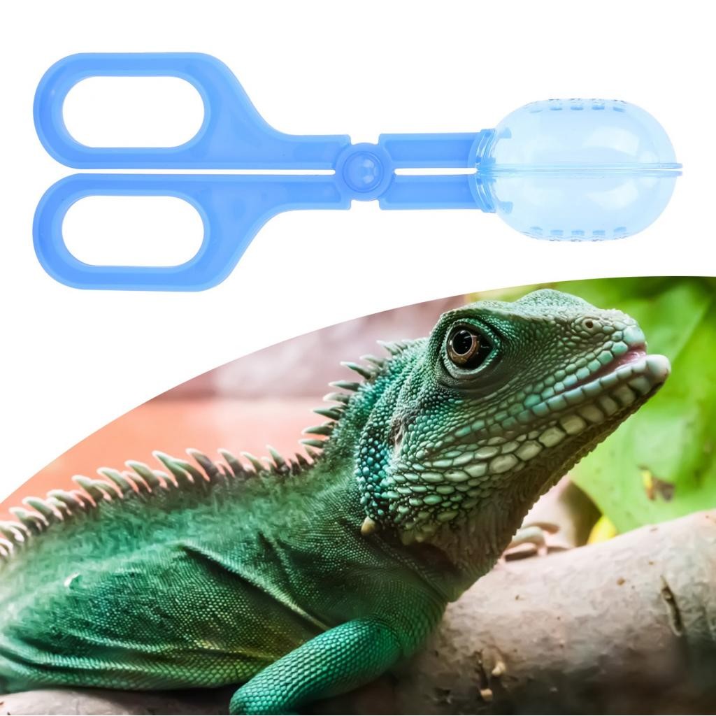 Henye Practical Reptile Spiders Feeding Grabber Feeder Tong Clip Clamp ...