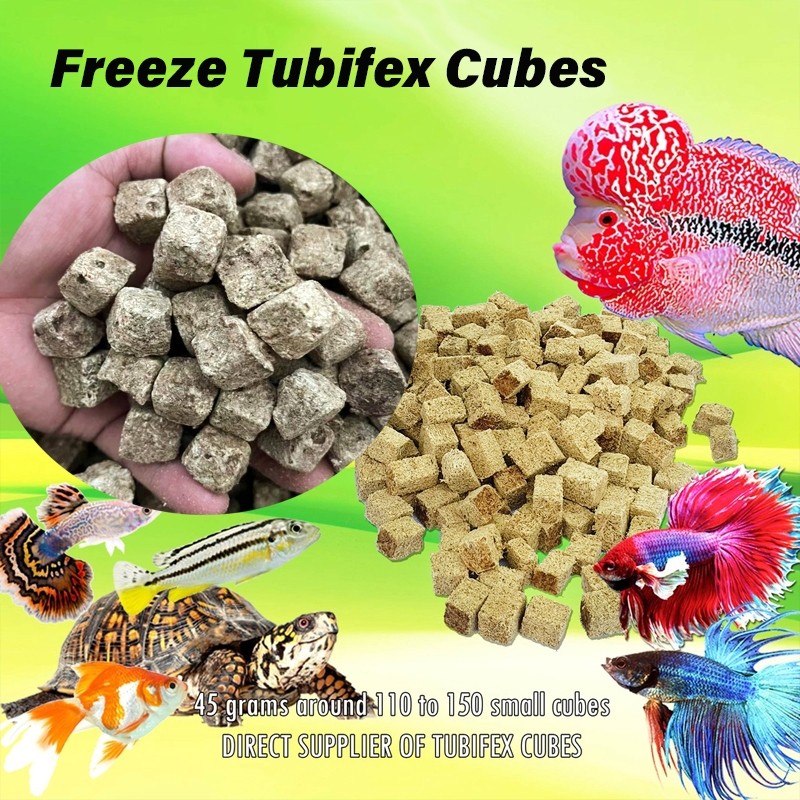 (20 GRAMS) Freeze dried tubifex worm High quality cubes fish food for ...
