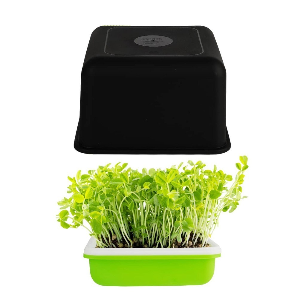 Hydroponic Planting Box Window Plant Trays Boxes for Germination of ...