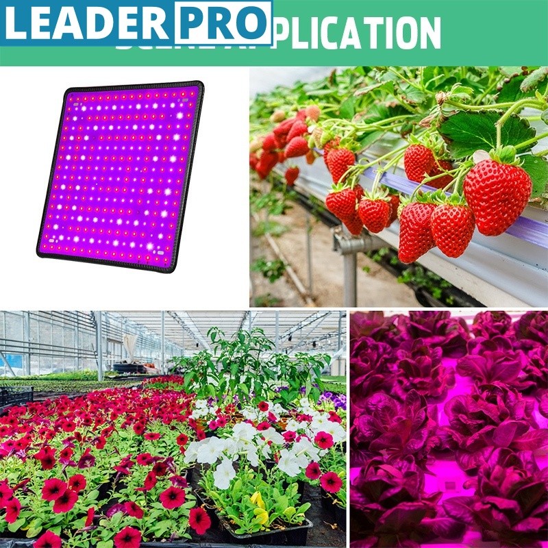 4000W 256 LED Grow Light LED Phyto-lamp Full Spectrum High Power LED ...