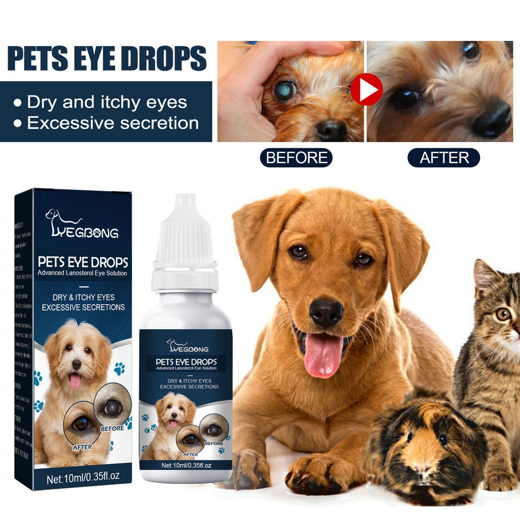 Pet Eye Drops for Dogs and Cats Remove Tears To Relieve Itchy Eyes ...