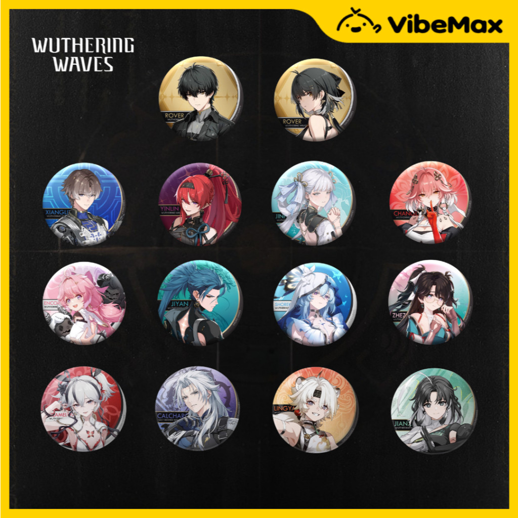 [ Official] Wuthering Waves WUWA Resonator Theme Series double flash ...
