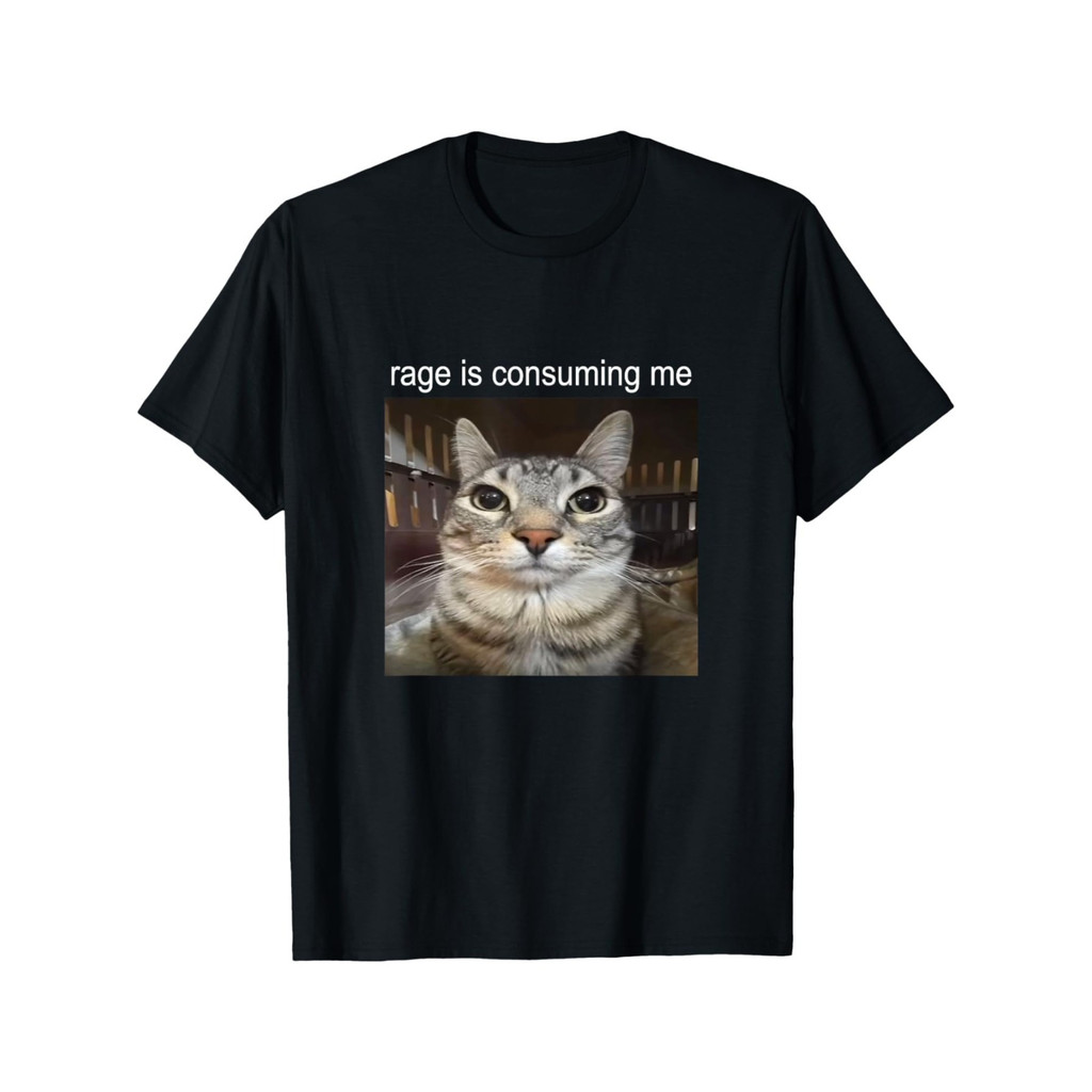 Funny "Rage Is Consuming Me" Staring Cat Meme T-Shirt - Black Casual ...