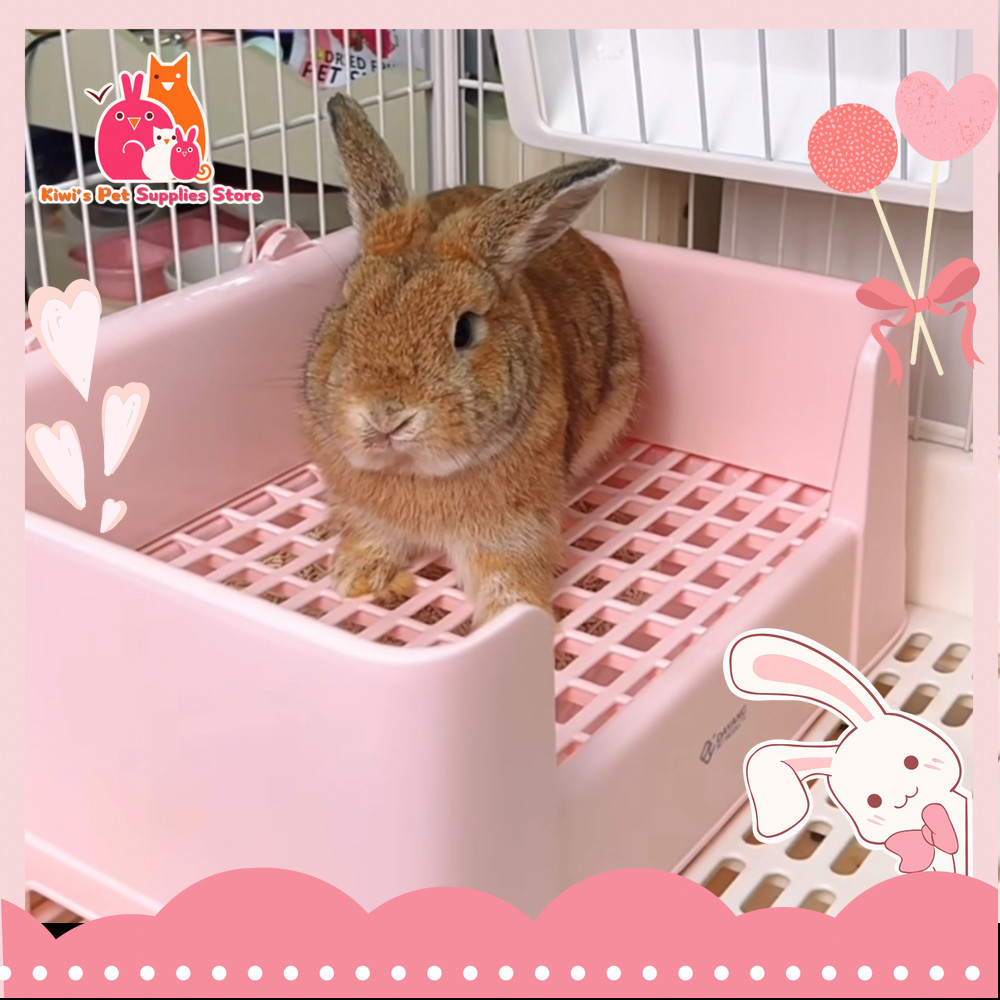 Rabbit Toilet Special Extra Large Pet Toilet Anti-overturn Fixed ...