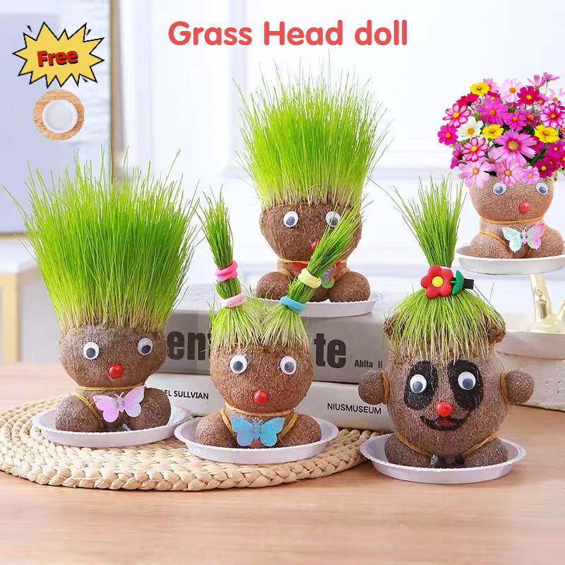 Growing Grass Head Doll Office Table Plant Decor Children Growing Grass ...