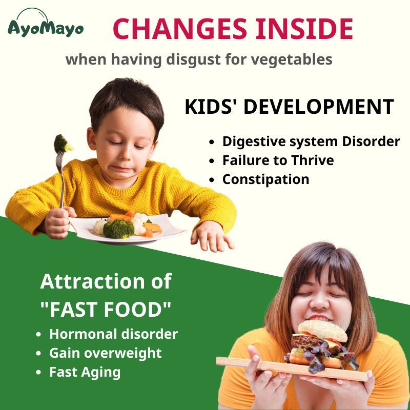 Mr Squirrel Vegetable Chips 12 in1 Dried Fruits and Vegetables Assorted ...